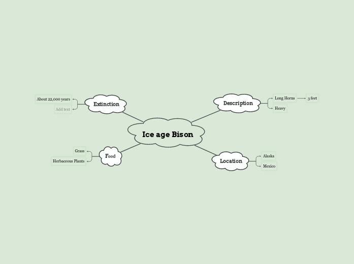 Ice Age Bison Mind Map